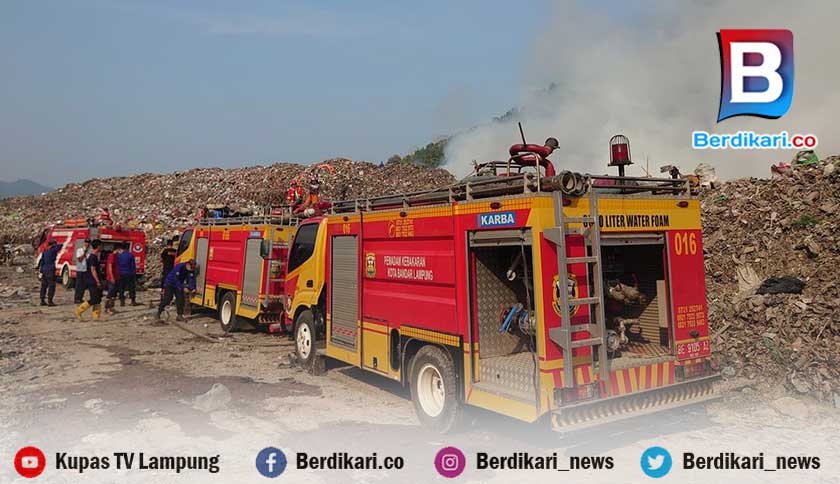 Berdikari - Dinas Damkar Butuh Waktu 3-4 Hari Lagi Tuntaskan Kebakaran ...